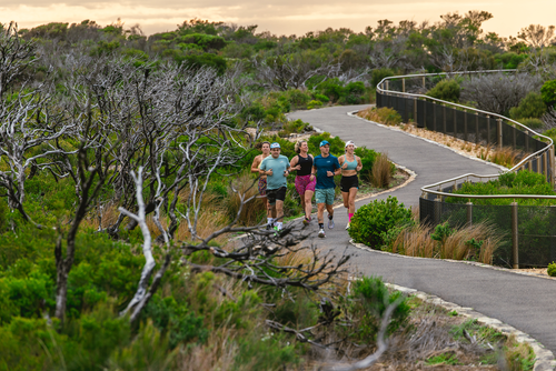 Live and Breathe Active